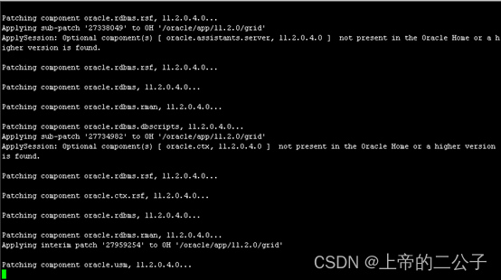 11G RAC PSU-CPU-OJVM补丁升级过程_oracle11g最新补丁-CSDN博客