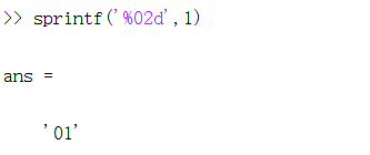 matlab sprintf及数据格式_matlab 命令窗口显示 sprintf-CSDN博客