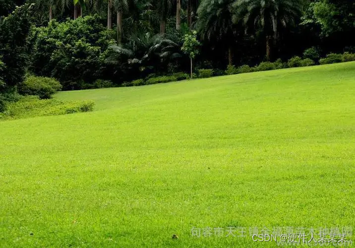 Vue中如何进行数据筛选与搜索功能实现_vue根据数组里面的某一个字段来筛选成新数组-CSDN博客