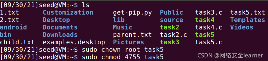 Environment Variable and Set-UID Program Lab-CSDN博客
