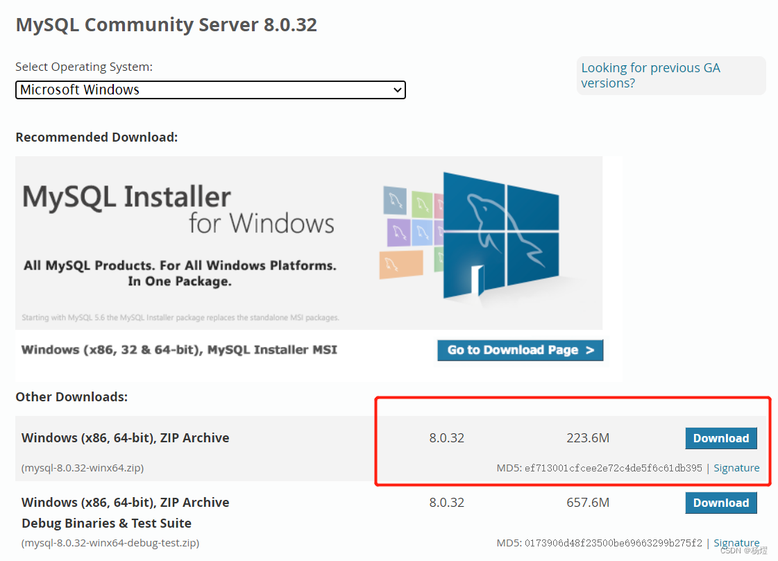 mysql 8.0.32安装 windows server 超详细_mysql.data.dll 8.0.32-CSDN博客