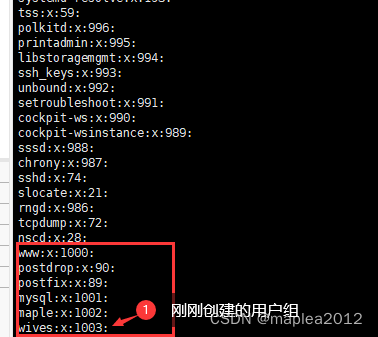 Linux用户和文件权限管理_linux drwx-CSDN博客