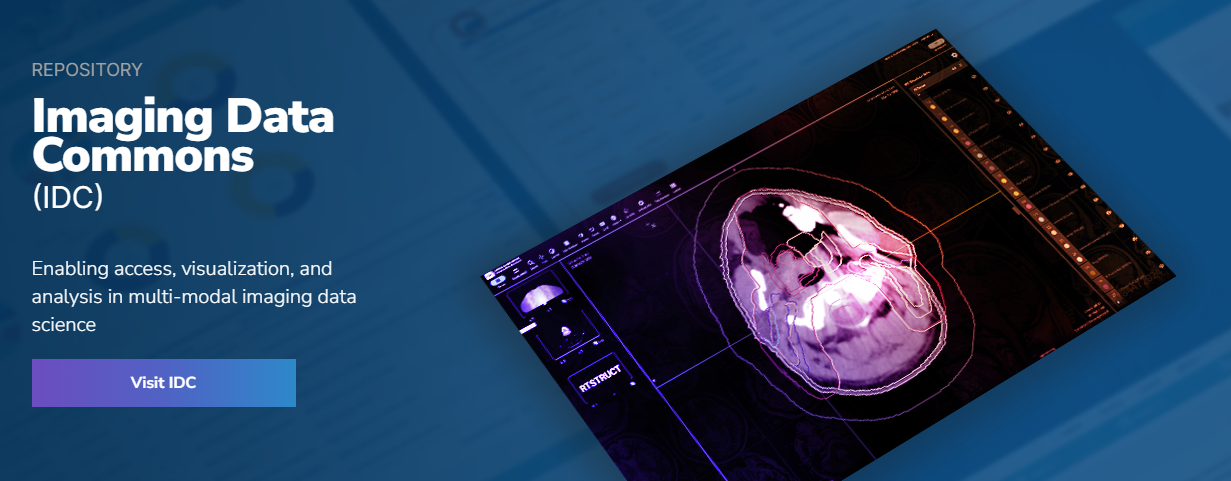 医学图像 开源数据整理合集1_qidw公共ct数据集-CSDN博客