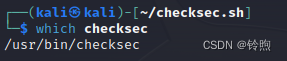 checksec：Too many levels of symbolic links-CSDN博客