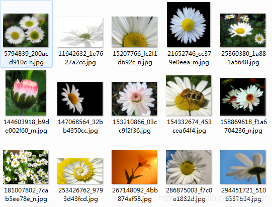 Tensorflow2 图像分类-Flowers数据及分类代码详解_图像分类flower-CSDN博客