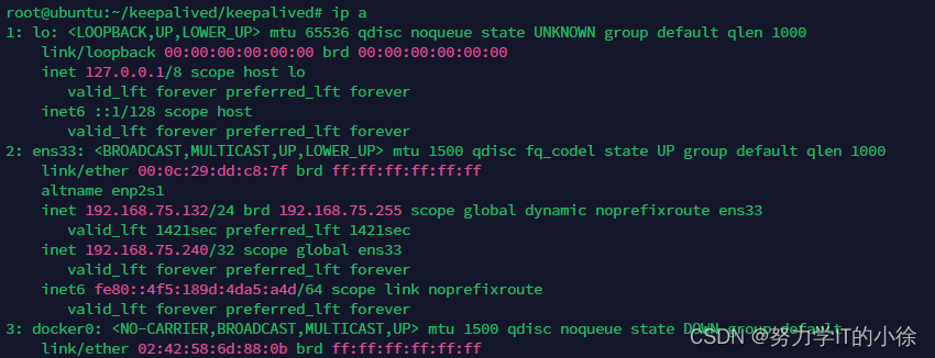 nginx的高可用---Keepalived_ubuntu安装keepalived-CSDN博客