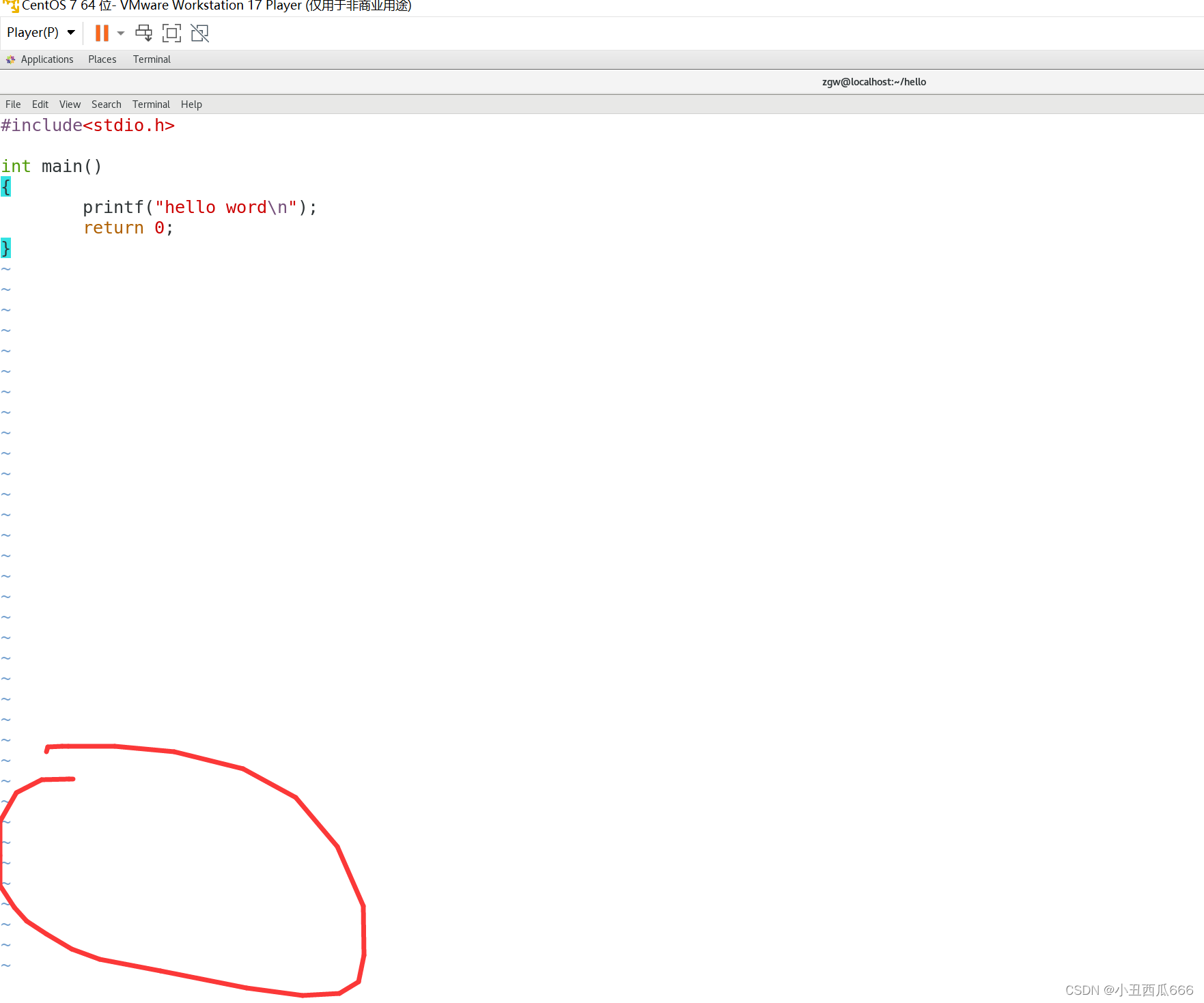 5分钟让你在LINUX系统写第一个C语言holleword（巨有成就感）_linux怎么写hello world-CSDN博客
