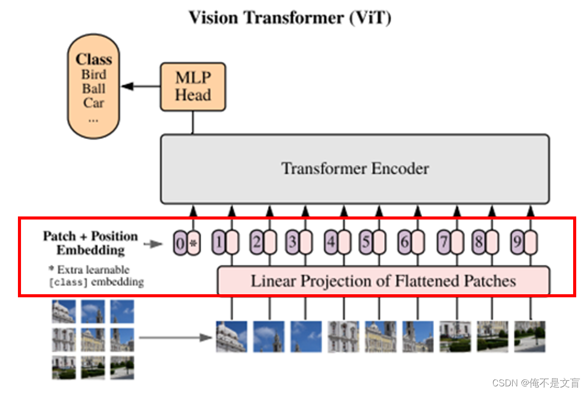 论文研读：Transformers Make Strong Encoders for Medical Image Segmentation-CSDN博客