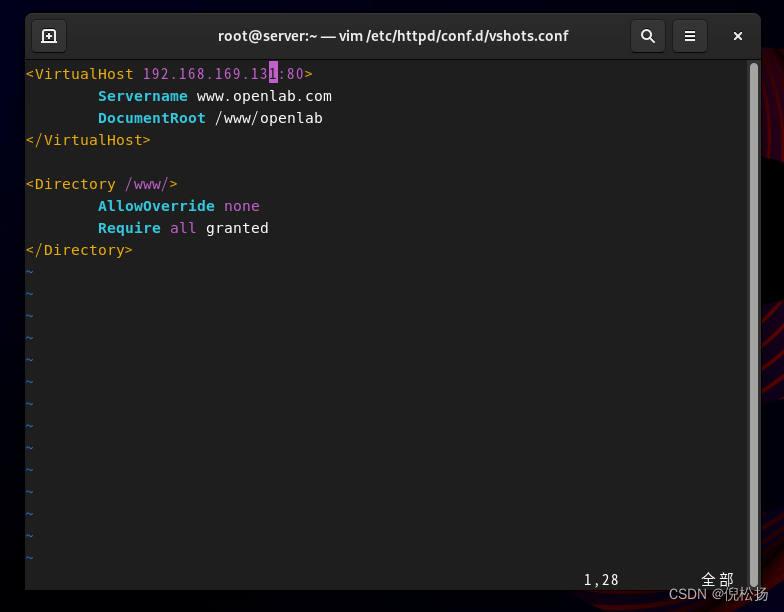SSH免密登录与OpenLabWeb网站搭建与DNS配置-CSDN博客
