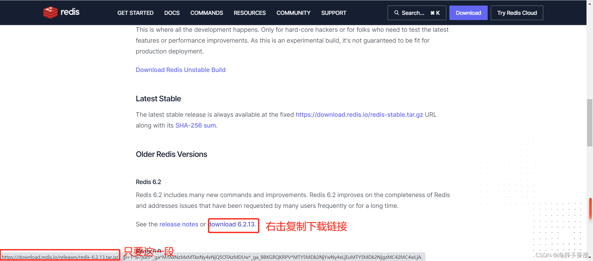 redis安装-CSDN博客