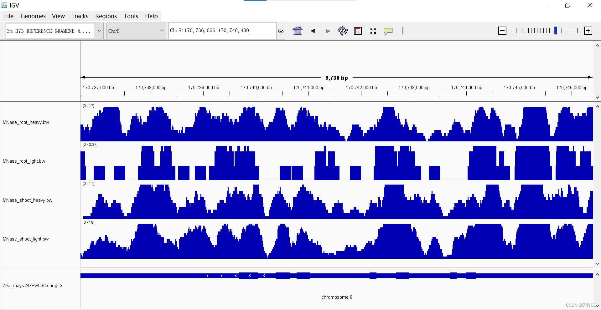 使用IGV软件可视化染色质可及性_igv可视化使用详细介绍-CSDN博客