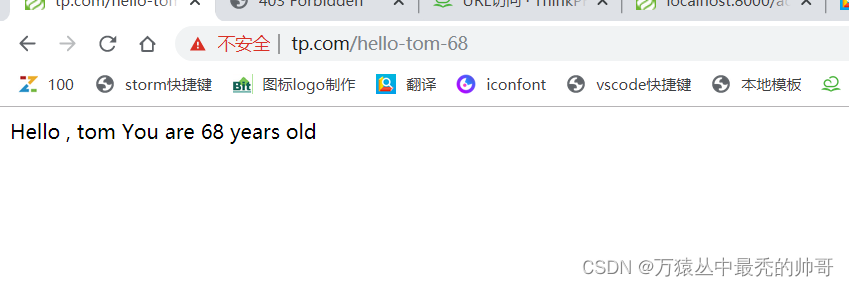 TP6框架路由后缀及符号修改指南-CSDN博客