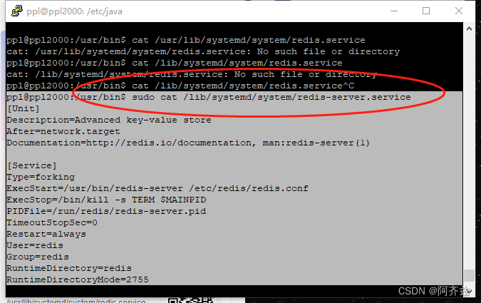 使用Qemu在Windows上模拟arm平台并安装debian10 arm系统（cd镜像） 安装记录_arm qemu模拟windows-CSDN博客