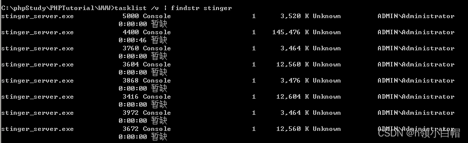 【工具使用】Pystinger(毒刺)的使用-CSDN博客