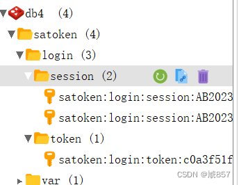 关于Satoken的Account-Session不会过期_satoken删除session-CSDN博客