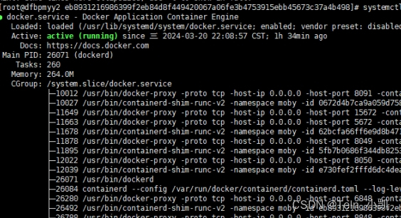 docker启动卡死问题排查_docker启动卡住-CSDN博客