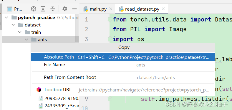 pytorch初学笔记（一）：如何加载数据和Dataset实战_python dataset-CSDN博客