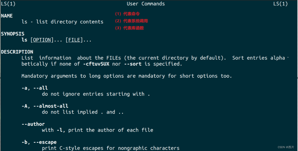linux1 |目录结构 |文件权限 |基础命令_linux目录-CSDN博客