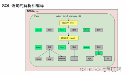 TiDB PCTA认证备考笔记-02-TiDB Server_tidb ptca-CSDN博客