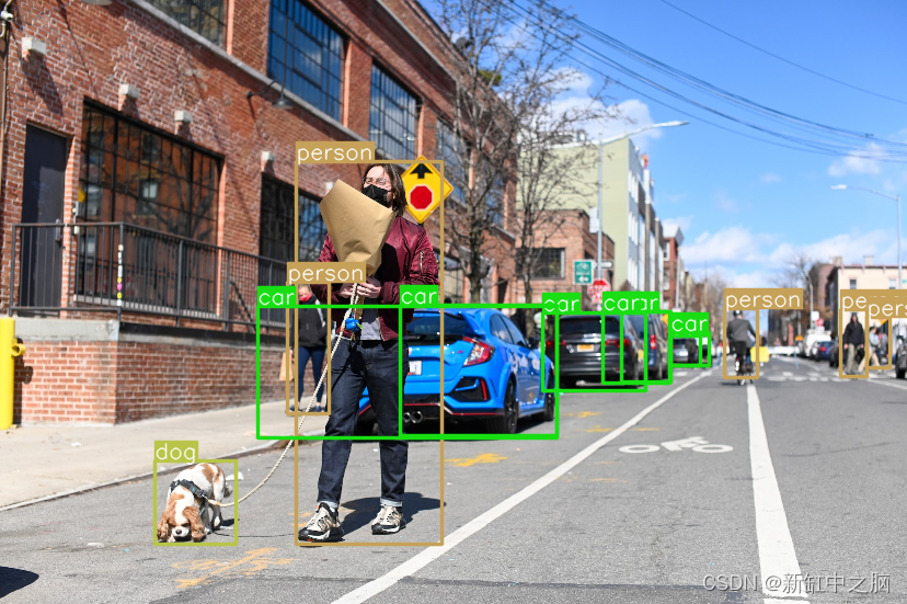 SAM + YOLOv8 图像分割及对象检测_图像分割加目标检测-CSDN博客