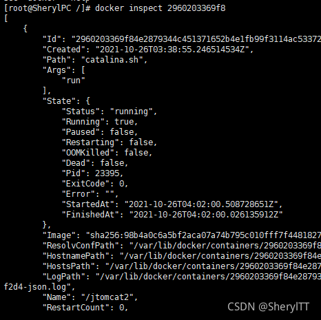 Docker入门（二）_容器学习day08-docker基础(二)-CSDN博客