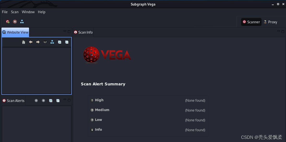 kali Linux Vega工具安装与解决报错_vega 安全工具下载-CSDN博客