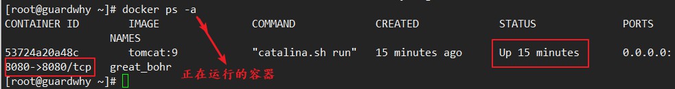 Docker安装Tomcat无法访问_webapps.dist 目录-CSDN博客