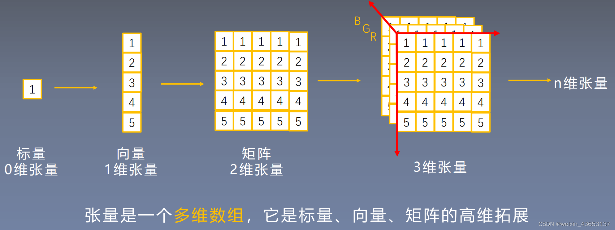 1_Tensor概念，属性以及如何创建_新建一个值为5的tensor-CSDN博客
