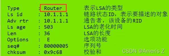 【ospf路由计算（一类LSA-router、二类LSA-Network、三类LSA-sum-Net）】-20211228-30-CSDN博客