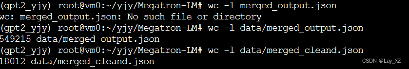 Megatron-LM训练GPT2模型_megatron 下载gpt2模型-CSDN博客
