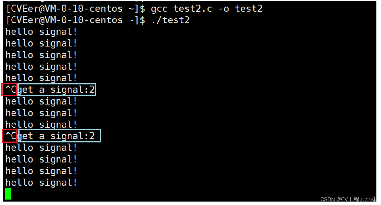 【Linux系统】进程信号_linux sigtrap-CSDN博客