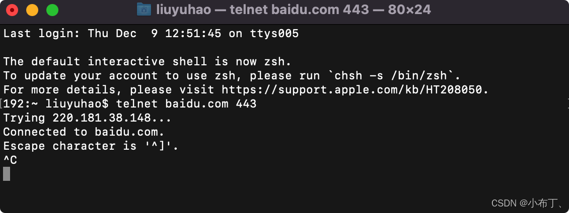 通过java执行telnet进入dubbo命令模式测试接口_java telnet测试接口-CSDN博客