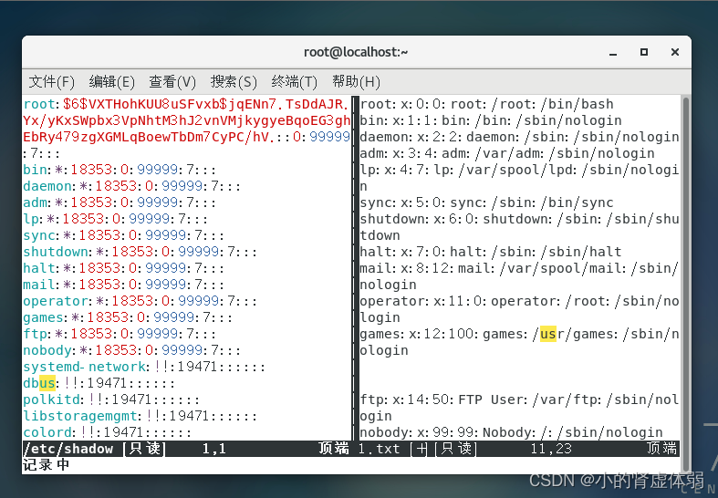 linux系统VIM文本编辑器基础的操作_linux vim ctrl+v-CSDN博客