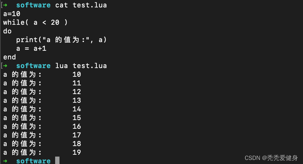 Java生态/Redis中如何使用Lua脚本_java redis lua脚本-CSDN博客