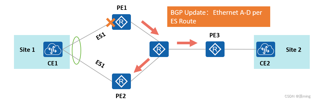 【EPVN】EVPN路由详解-CSDN博客