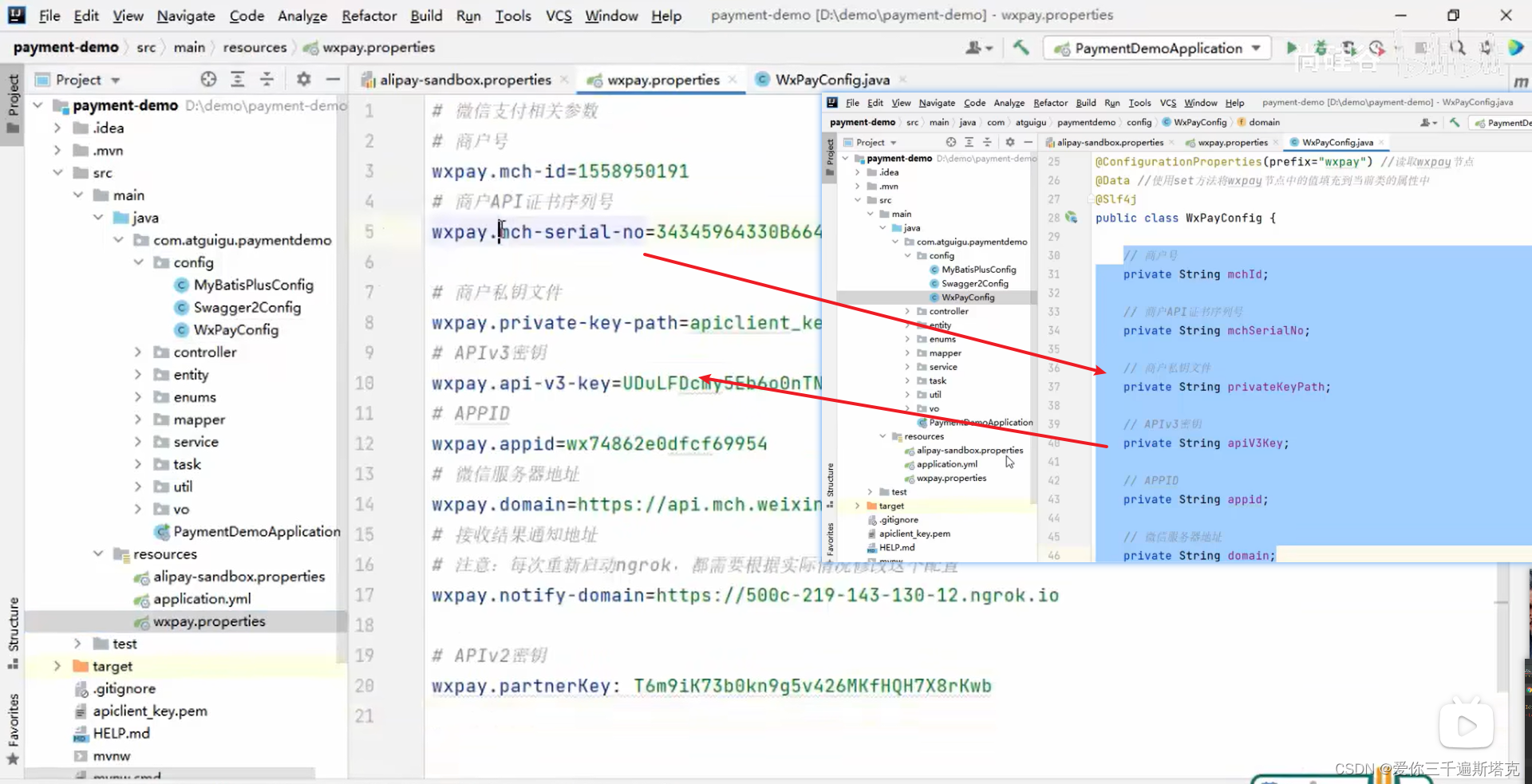 支付系统15-----支付宝支付，引入支付参数，如何使支付宝的配置信息变成SpringBoot相关的配置信息_pay::alipay()配置参数-CSDN博客