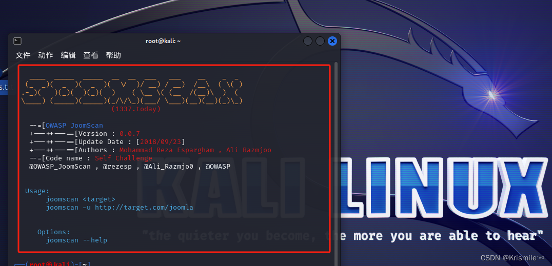 kali中安装gobuster、joomscan、Linux下的文本编辑器教程_gobuster安装-CSDN博客
