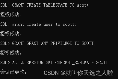ORACLE数据库scott没有相关权限_为scott 授予 dba权限-CSDN博客