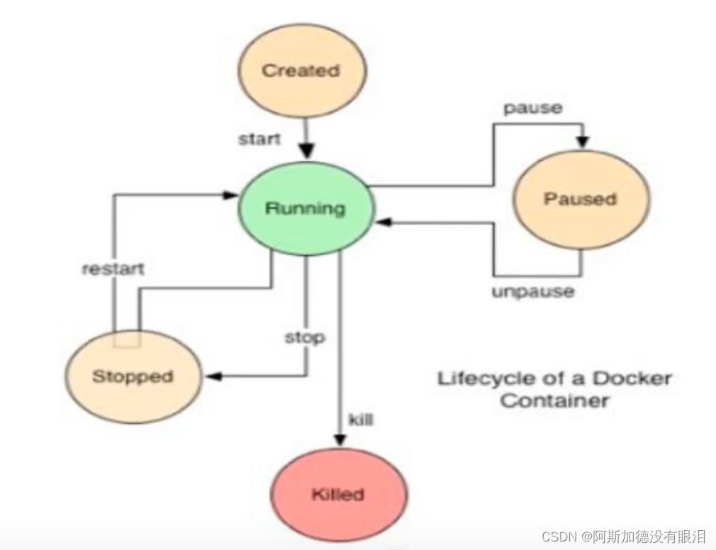 Docker容器的基本操作一_docker tty-CSDN博客