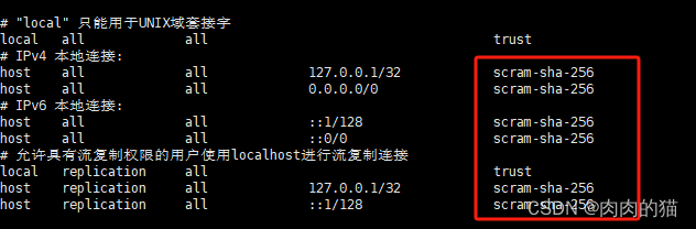 使用 Navicat连接 postgresql 时报错authentication method 10 not supported（docker版本修改）-CSDN博客
