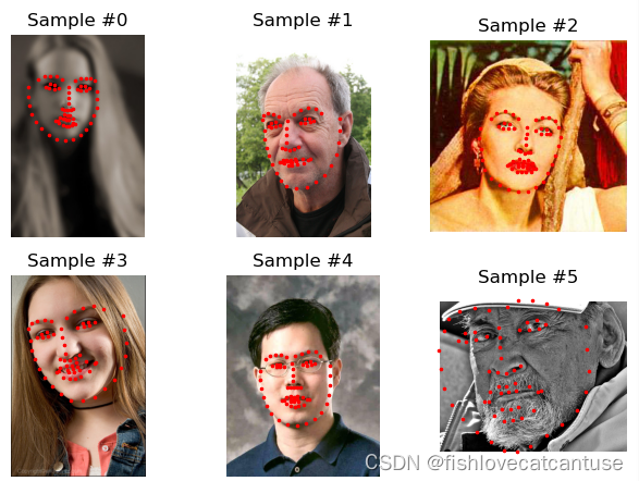 Day5_PyTorch数据集类-CSDN博客