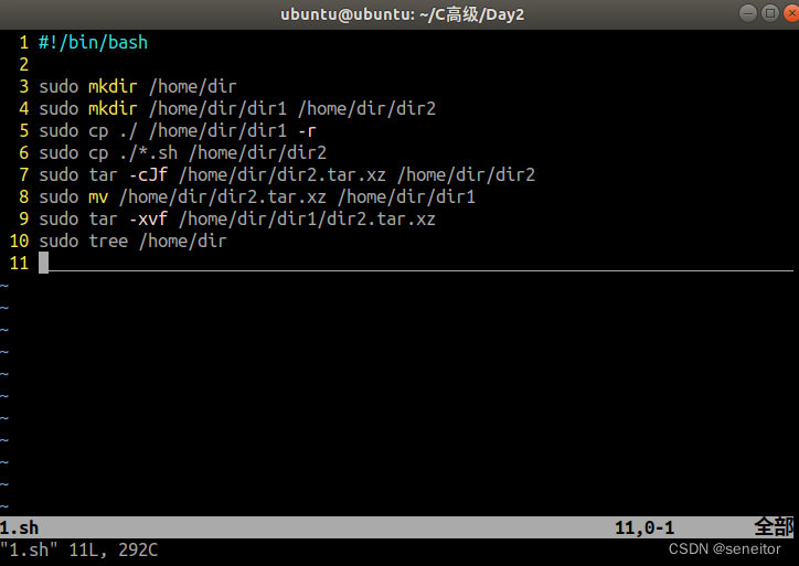 Day2（c高级）-CSDN博客