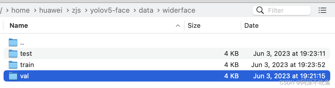 yolov5-face模型训练以及测试_yolov5face训练-CSDN博客