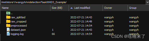 nnDetection安装到使用，包括环境搭建，数据预处理和训练（没有使用docker）-CSDN博客