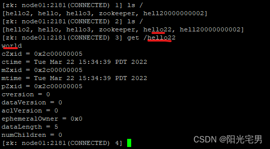 Zookeeper的Java API 操作-CSDN博客