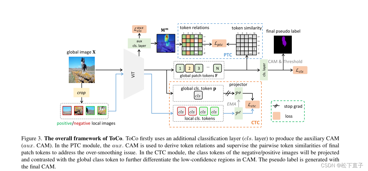 弱监督语义分割的token对比笔记_token contrast for weakly-supervised semantic segm-CSDN博客