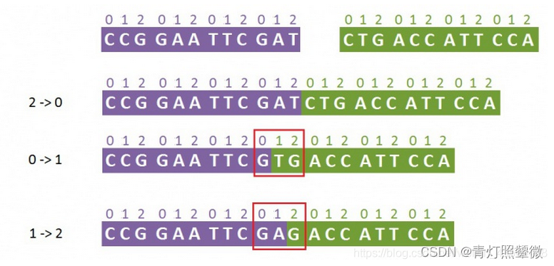 【bioinfo】融合检测软件FusionMap分析流程和报告结果-CSDN博客