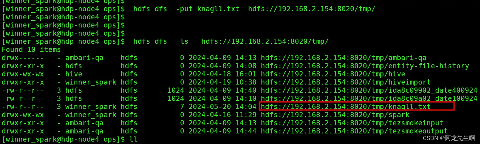【Linux】使用 iptables 验证访问HDFS 所使用到的端口_hadoop 1019端口-CSDN博客